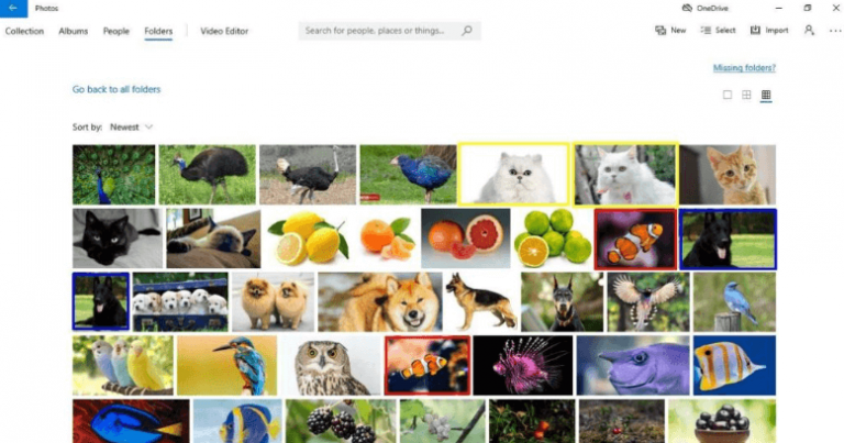 how-to-use-microsoft-s-photos-to-remove-duplicate-photos-techpout